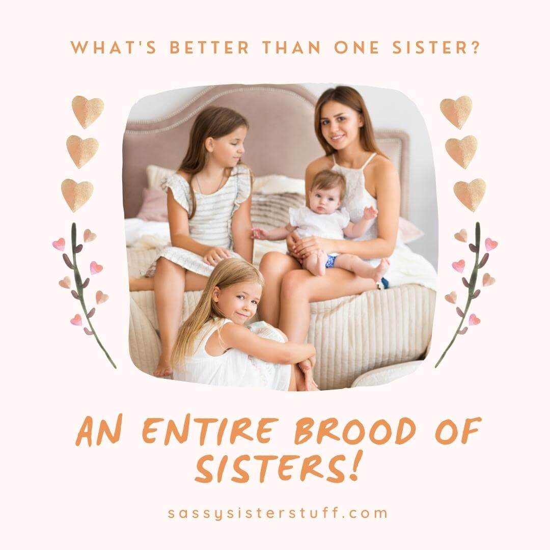 Sassy Sister Quotes: 100 Bold, Funny & Fabulous Quotes for Sisters ...