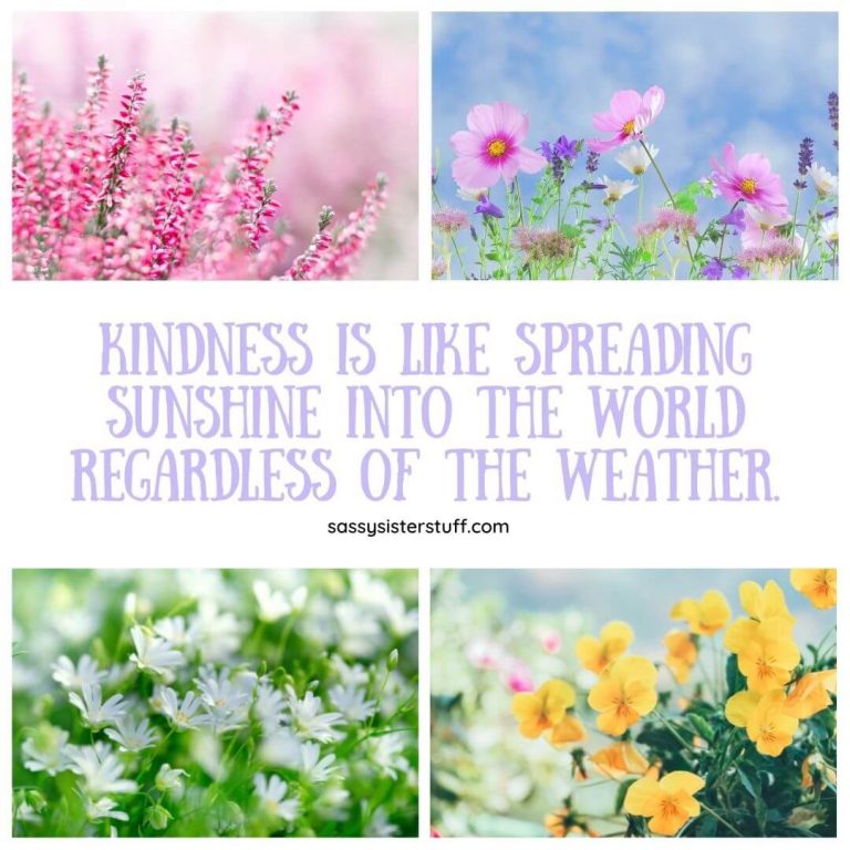 33 Heartwarming Generosity and Kindness Quotes to Inspire You | Sassy ...