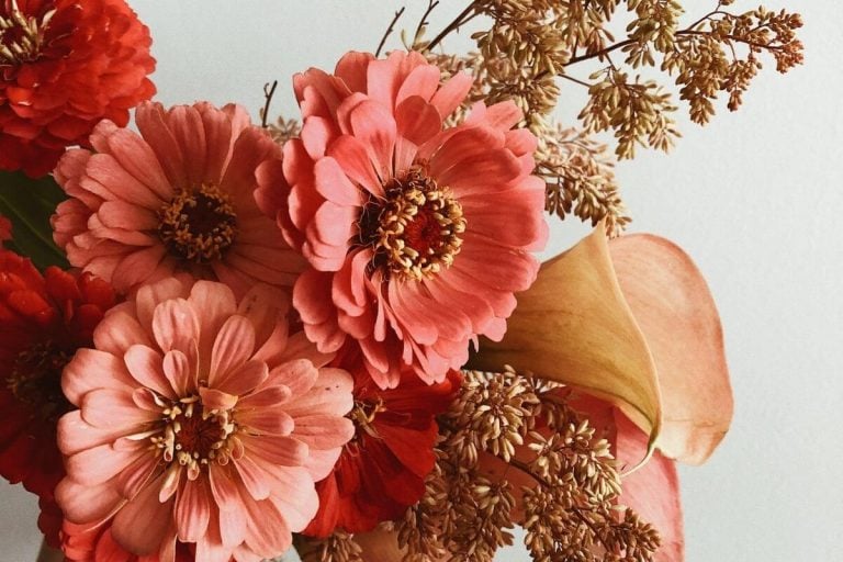 29 Spectacular Reasons to Believe Why Life Is Beautiful | Sassy Sister ...