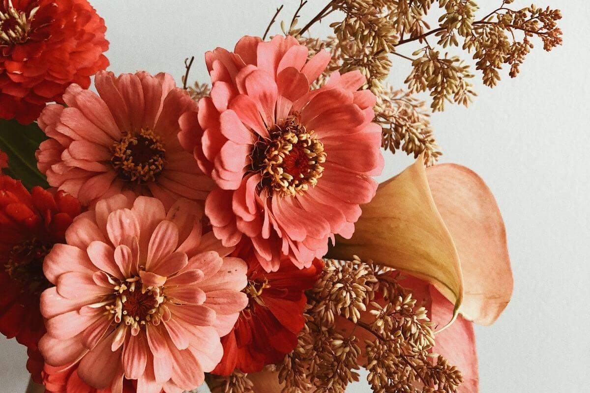 29 Spectacular Reasons to Believe Why Life Is Beautiful | Sassy Sister ...