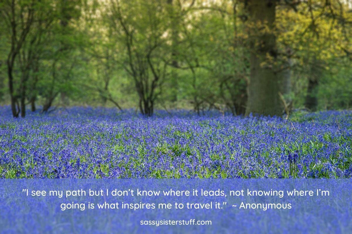 29 Find Your Path Quotes: Amazing Inspiration for Your Journey Through ...