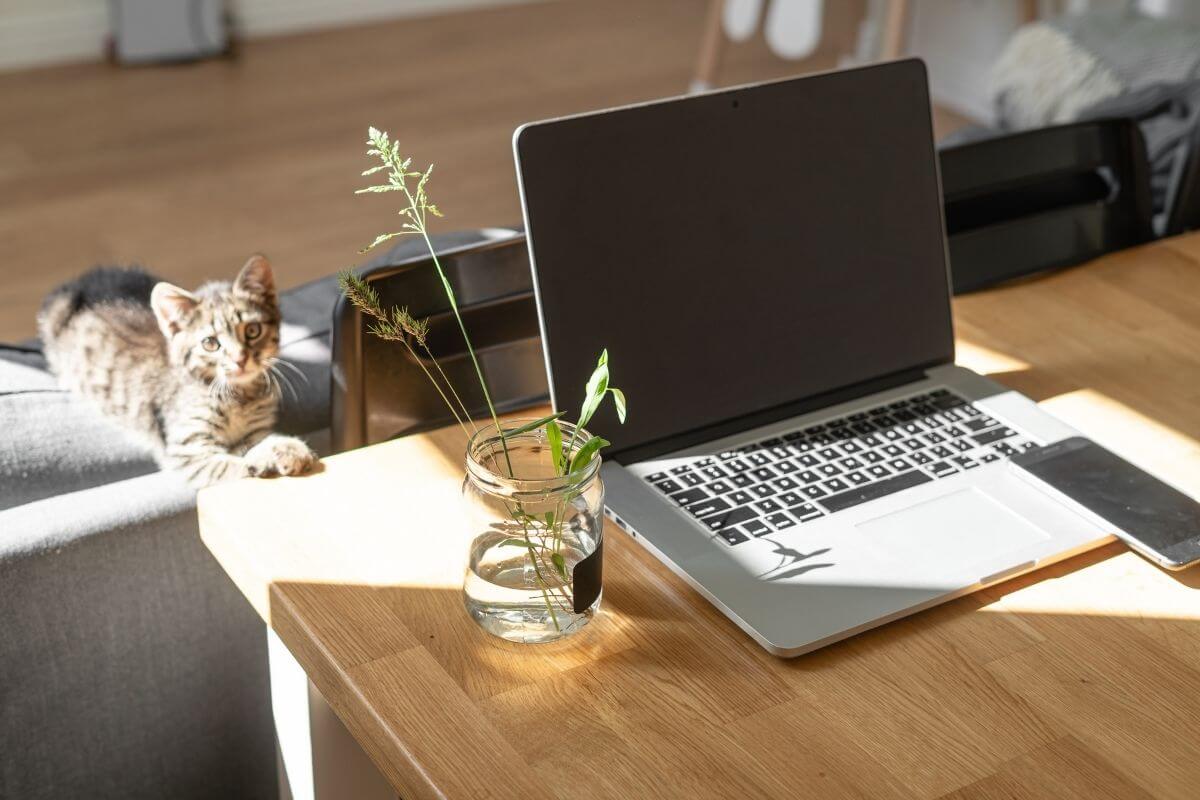 What is Slow Living? 7 Principles to Simplify Life & Create More Joy ...