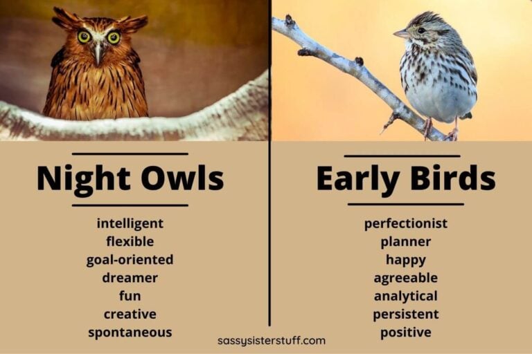 21 Reasons Why It's Perfectly Okay to be a Night Owl | Sassy Sister Stuff